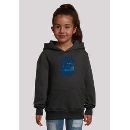 Kapuzenpullover F4NT4STIC "Hawaii Surf Beach Summer", Jungen, Gr. 110/116, schwarz, Obermaterial: 65% Baumwolle, 35% Polyester, relaxed fit, Pullover Kapuzenpullover, Premium Qualit&auml;t