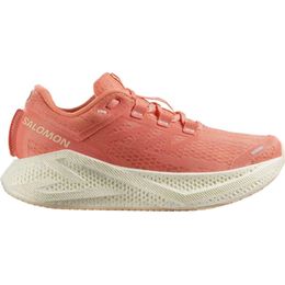 Schuhe Salomon Aero Glide 3 478107