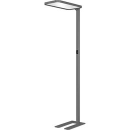 Hansa LED-Stehleuchte SAPHIR, dimmbar, anthrazit