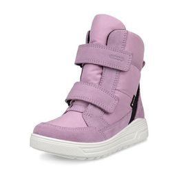 Winterstiefel Ecco "Urban Snowboarder", Kinder, Gr. 29, lila, Veloursleder, sportlich, Schuhe, mit Klettriemchen, GORE-TEX