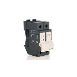 Schneider Electric 32 A-Sicherungshalter für Schienenmontage für 10 x 38 mm-Sicherung, 2P, 690 VAC - DF102