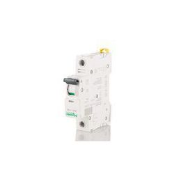 Schneider Electric Leitungssschutzschalter Acti 9 iC60H MCB, 1P-polig, 2 A Charakteristik C, 100 133 VAC, 72 VDC, 10 kA Ausschaltvermögen - A9F54102