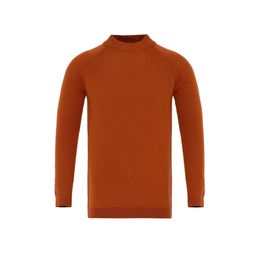Antioch Pullover Herren Gr&ouml;&szlig;e XL oxid