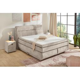 Jockenhöfer Boxspringbett JOCKENHÖFER GRUPPE "Queen, inklusive Strauraum/Bettkasten", beige (beige, grau 460, 29), B:195cm L:230cm, Bezug Bett: Chenille (100% Polyester);Topper und Matratzenspiegel: 100% Polyester, Komplettbetten, 7-Zonen-TTFK-Matratze, KS-Topper, verschiedene Härtegrade wählbar