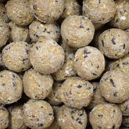 KLASEBO Meisenkn&ouml;del Premium mit Insekten 100 x ca. 90 Gramm ohne Netz, Futter f&uuml;r Wildv&ouml;gel, Fettfutter V&ouml;gel