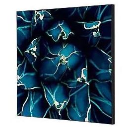 SHOWDOWN Textile Wanddekoration Kaktus Mehrfarbig Aluminium