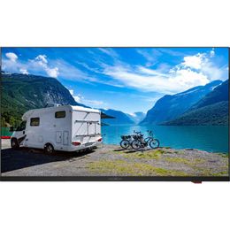 Reflexion Smart TV LDDX22iBT schwarz - 22 Zoll