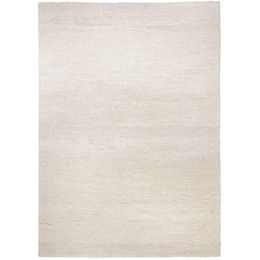 SONSTIGE Teppich weiss DELTA