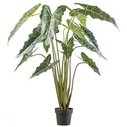 Kunstpflanze Creativ green "Alocasia zebrina sarian", grün, H:160cm, Kunststoff, Kunstpflanzen, mit gestreiftem Stamm