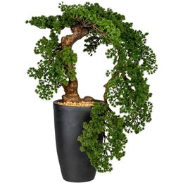 Kunstbonsai LEONIQUE "Carolyne", grün, B:46cm H:70cm, Kunststoff, Kunstpflanzen, Kunstpflanze, im Magnesiatopf