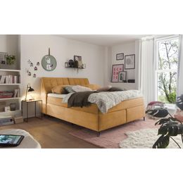 Boxspringbett "Fairfield", gelb (senfgelb), B:186cm L:242cm, 92% Polyester, 8% Nylon, SET ONE BY Musterring, Komplettbetten, Kopfteil in Kassenoptik, Metallfuß schwarz, Breite 160 oder 180 cm