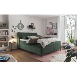 Boxspringbett "Fairfield", grün (olive), B:186cm L:242cm, 92% Polyester, 8% Nylon, SET ONE BY Musterring, Komplettbetten, Kopfteil in Kassenoptik, Metallfuß schwarz, Breite 160 oder 180 cm