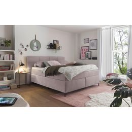Boxspringbett "Fairfield", rosa, B:204cm L:218cm, 92% Polyester, 8% Nylon, SET ONE BY Musterring, Komplettbetten, mit Metallfuß schwarz, Wendematratze, Breite 160 oder 180 cm