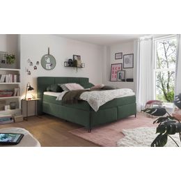 Boxspringbett "Fairfield", grün (olive), B:204cm L:218cm, 92% Polyester, 8% Nylon, SET ONE BY Musterring, Komplettbetten, mit Metallfuß schwarz, Wendematratze, Breite 160 oder 180 cm