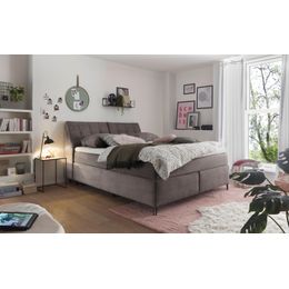 Boxspringbett "Fairfield", braun, B:186cm L:242cm, 92% Polyester, 8% Nylon, SET ONE BY Musterring, Komplettbetten, Kopfteil in Kassenoptik, Metallfuß schwarz, Breite 160 oder 180 cm