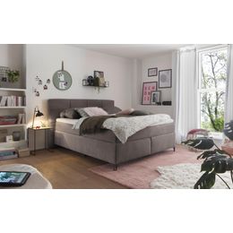 Boxspringbett "Fairfield", braun, B:204cm L:218cm, 92% Polyester, 8% Nylon, SET ONE BY Musterring, Komplettbetten, mit Metallfuß schwarz, Wendematratze, Breite 160 oder 180 cm