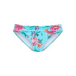 Sunseeker Bikini Bottoms female Blue size 40