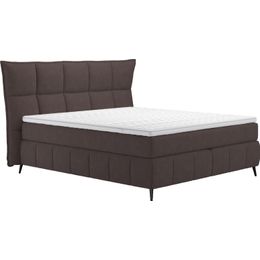 Boxspringbett COTTA "Sarah", schwarz (charcoal), B:188cm L:215cm, 100% Polyester, Komplettbetten, Boxspringbett, inkl. Topper, 2 Matratzenkerne, H&auml;rtegrade H2, H3 oder H4