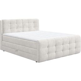 Boxspringbett COTTA "Fort mit Bettkasten, inkl. Topper", beige (cream), B:201cm L:228cm, 100% POLYESTER (PES), Komplettbetten, erhältlich in verschiedenen Breiten (160cm, 180cm & 200cm), Topseller