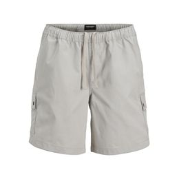Jack & Jones Jack & Jones Cargo Pants 'JPSTBill' male Grey size XS