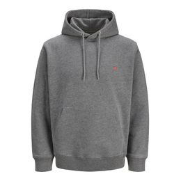 R.D.D. ROYAL DENIM DIVISION Sweatshirt 'RDDKALID' Herren Gr&ouml;&szlig;e XL graumeliert / rot