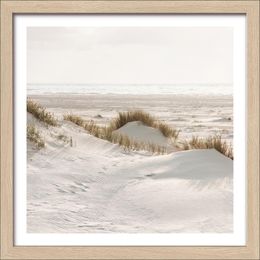 Pro Art Gerahmtes Bild DRIED FIBER IV