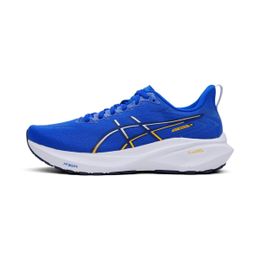 asics GT-2000 13 Herren