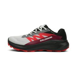 Salomon Alphaglide GTX Herren