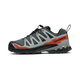 Salomon XA Pro 3D V9 GTX Herren