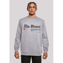 Kapuzenpullover F4NT4STIC "The Bronx CREW", Damen, Gr. 5XL, grau (erdgrau), Obermaterial: 50% Baumwolle, 50% Polyester, relaxed fit, Rundhals, Pullover Kapuzenpullover, Print