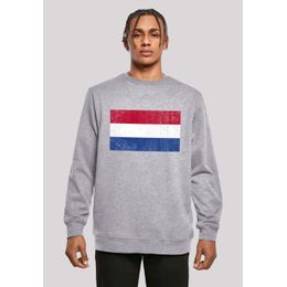 Kapuzenpullover F4NT4STIC "Netherlands NIederlande Holland Flagge distressed", Damen, Gr. M, grau (erdgrau), Obermaterial: 50% Baumwolle, 50% Polyester, relaxed fit, Rundhals, Pullover Kapuzenpullover, Print