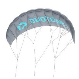 Duotone Lizard Trainerkite 2,5 M Grau