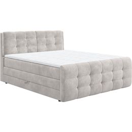 Boxspringbett COTTA "Fort mit Bettkasten, inkl. Topper", beige (natur), B:161cm L:228cm, 100% POLYESTER (PES), Komplettbetten, erhältlich in verschiedenen Breiten (160cm, 180cm & 200cm), Topseller