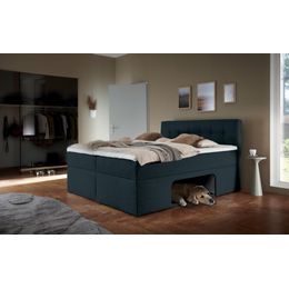 Boxbett Places of Style "Carolin", grau (dunkelgrau), B:182cm L:210cm, Komplettbetten, mit Nische inkl. gepolsterter Unterlage für Haustiere