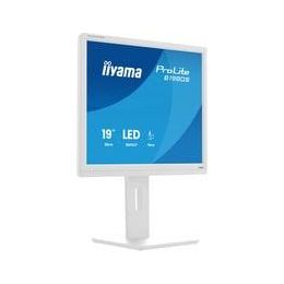 iiyama ProLite B1980S-W1, LED-Monitor 48 cm (19 Zoll), wei&szlig; (matt), SXGA, TN, HDMI, DP, Ergonomischer Standfu&szlig;