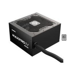 ENERMAX MAXPRO IV EMP650W, PC-Netzteil schwarz, 2x PCIe, 650 Watt