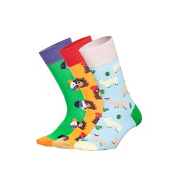 DillySocks Socken 'Geschenkbox - Paws & Friends (3er Box)' Damen Gr&ouml;&szlig;e 36/40 bunt