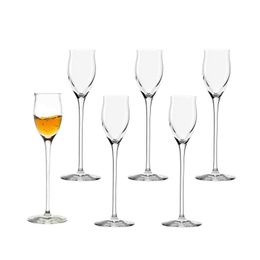 St&ouml;lzle Lausitz St&ouml;lzle Lausitz Edelbrandgl&auml;ser Quatrophil 65 ml 6er Set