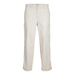 Jj Rebel Cargo Pants 'JREBCARLOS' male Beige size 33