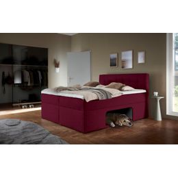 Boxbett Places of Style "Carolin", rot (bordeaux meliert), B:182cm L:210cm, Komplettbetten, mit Nische inkl. gepolsterter Unterlage für Haustiere