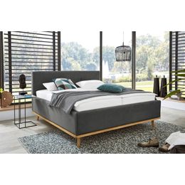 Polsterbett Musterring "Delphi", grau (anthrazit, anthrazit), B:198cm L:221cm, Stoffbezug Stone (100% Polyester), Betten, Eicherahmen massiv, Kopfteil mit Steppung