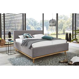 Polsterbett Musterring "Delphi", grau (grau, grau), B:198cm L:221cm, Stoffbezug Stone (100% Polyester), Betten, Eicherahmen massiv, Kopfteil mit Steppung