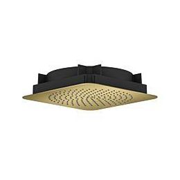 Hansgrohe AXOR Citterio C Duschkopf 270 1jet EcoSmart 28795950 1 Strahlart wassersparend Deckenintegriert, Brushed Brass