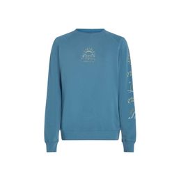 O`Neill O'neill Sweatshirt Damen Gr&ouml;&szlig;e L taubenblau / gelb