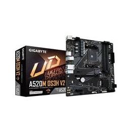 Gigabyte A520M DS3H V2, Mainboard