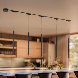 LINDBY Schienensystem 48V Lumaro, Pendel, 5-flg., schwarz, dimmbar