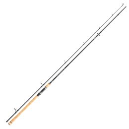 Daiwa Exceler Trad. 2.40m 10-40g Spinnrute