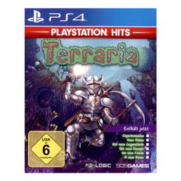 Terraria PS-4 PSHits