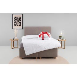 Microfaserbettdecke my home "Caelan, kaufe eine Decke - erhalte die Leichtbettdecke gratis dazu", weiß, B:155cm L:220cm, Bezug: 100% Polyester. Füllung: 100% Polyester, Bettdecken, Bettdecke 135x200 cm und 155x220 cm, Sommer, Winter