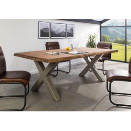 Baumtisch Sheesham 200x100x77 grau gebeizt / X-Beine silber matt FREEFORM 5